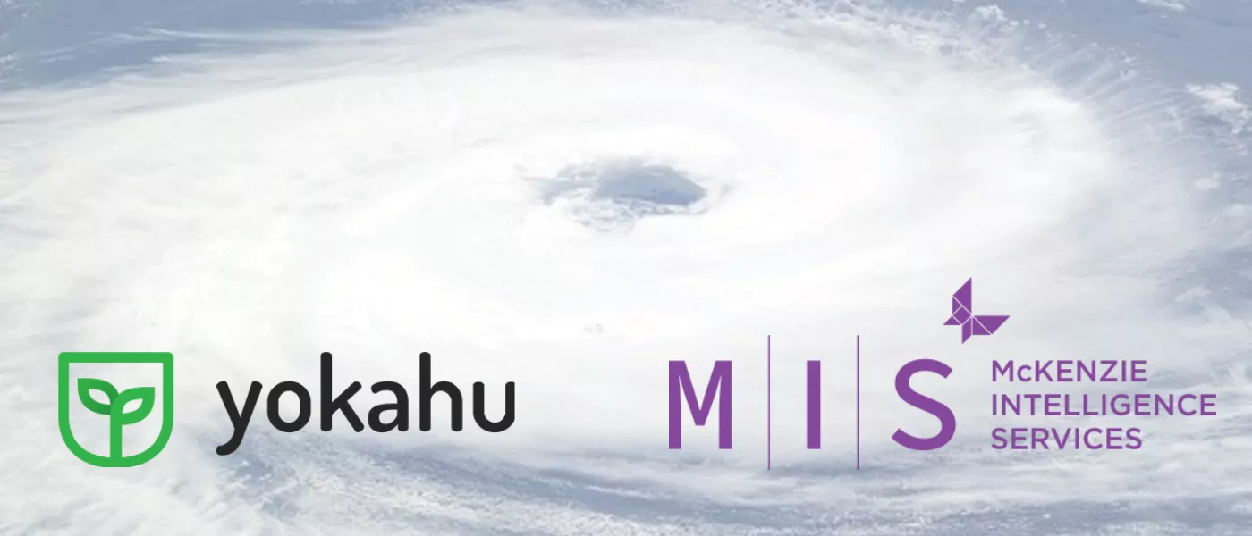MIS forms partnership with parametric hurricane insurance MGA Yokahu ...